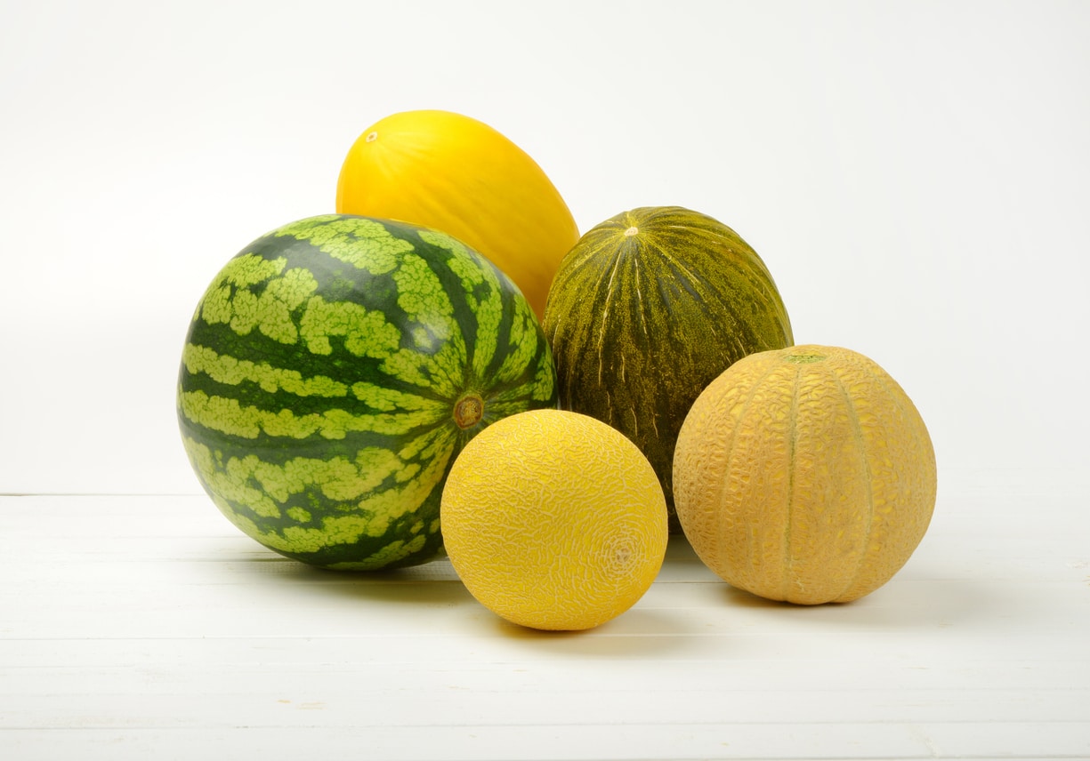 Caito Foods Melon Recall Lawsuit - Johnson // Becker